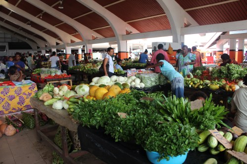 SWEET POTATOES AND CATAMARANS – the heart thrills
