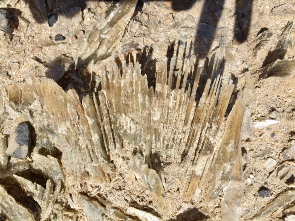 WHITE SANDS NATIONAL MONUMENT – the heart thrills