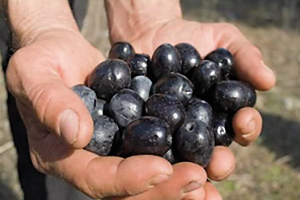 Amfissa – the heart thrills